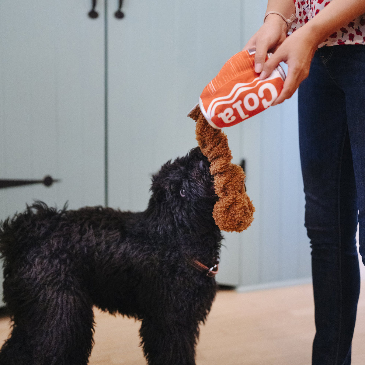 Good Boy Cola - Dog Toy – Five And Dime